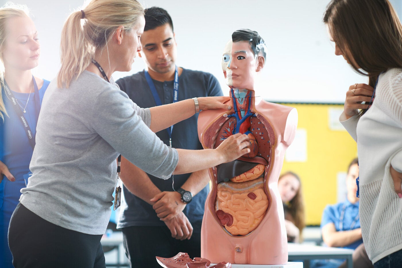 Introduction to Human Anatomy Course - UCLA Extension